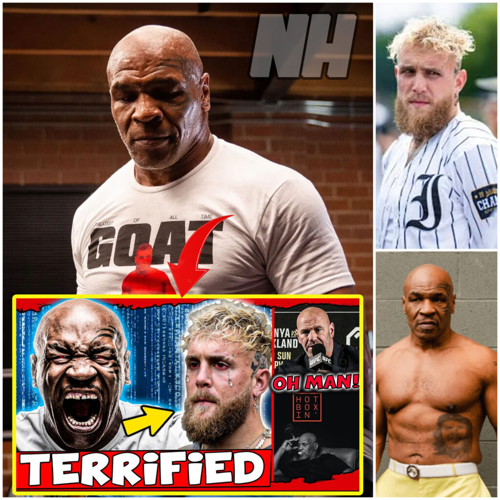 SCARY!! Mike Tyson NEW Announcement is SHOCKING! | Jake Paul REVEALS ... SCARY!! Mike Tyson NEW Announcement is SHOCKING! | Jake Paul REVEALS ...
